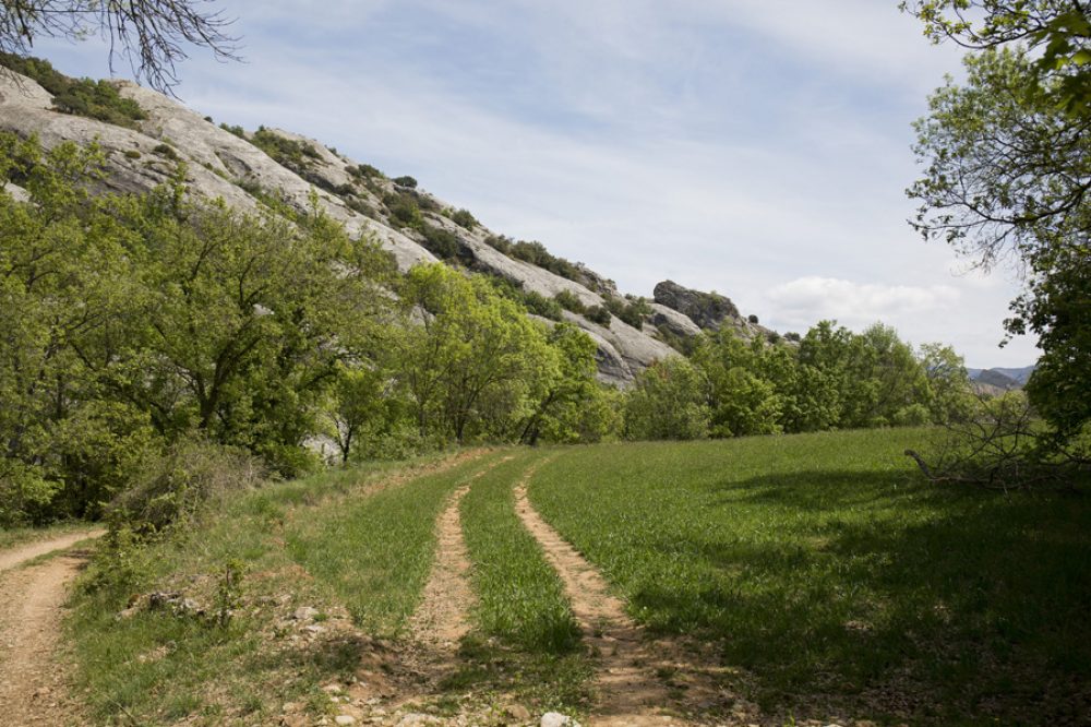 Entorno rural - Casa Grabiel